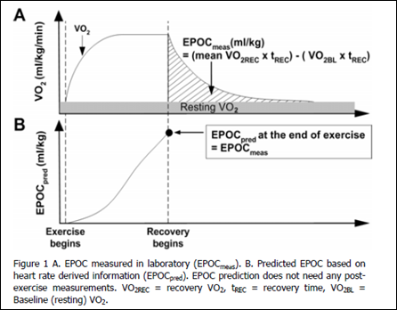 Sports and Fitness Science: Monitoring training load: quo vadis? #2